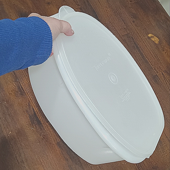 Tupperware | Kitchen | Vintage Tupperware Ham Or Chicken 3 Piece | Poshmark